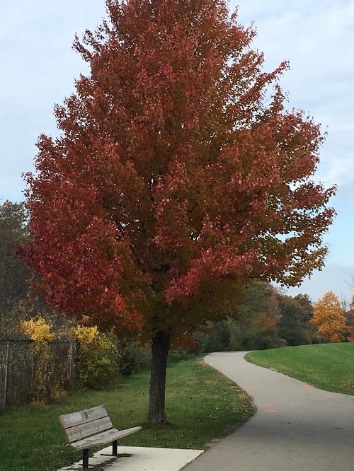 Designs By Alfreda – Gifts and Gift Baskets